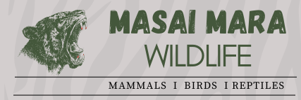 Wildlife of Masai Mara: An Ultimate Guide to Animals of the Masai Mara Ecosystem - Masai Mara ...